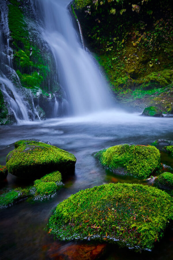 The Art ⋆ Shaun Downey | Fine Art Photography